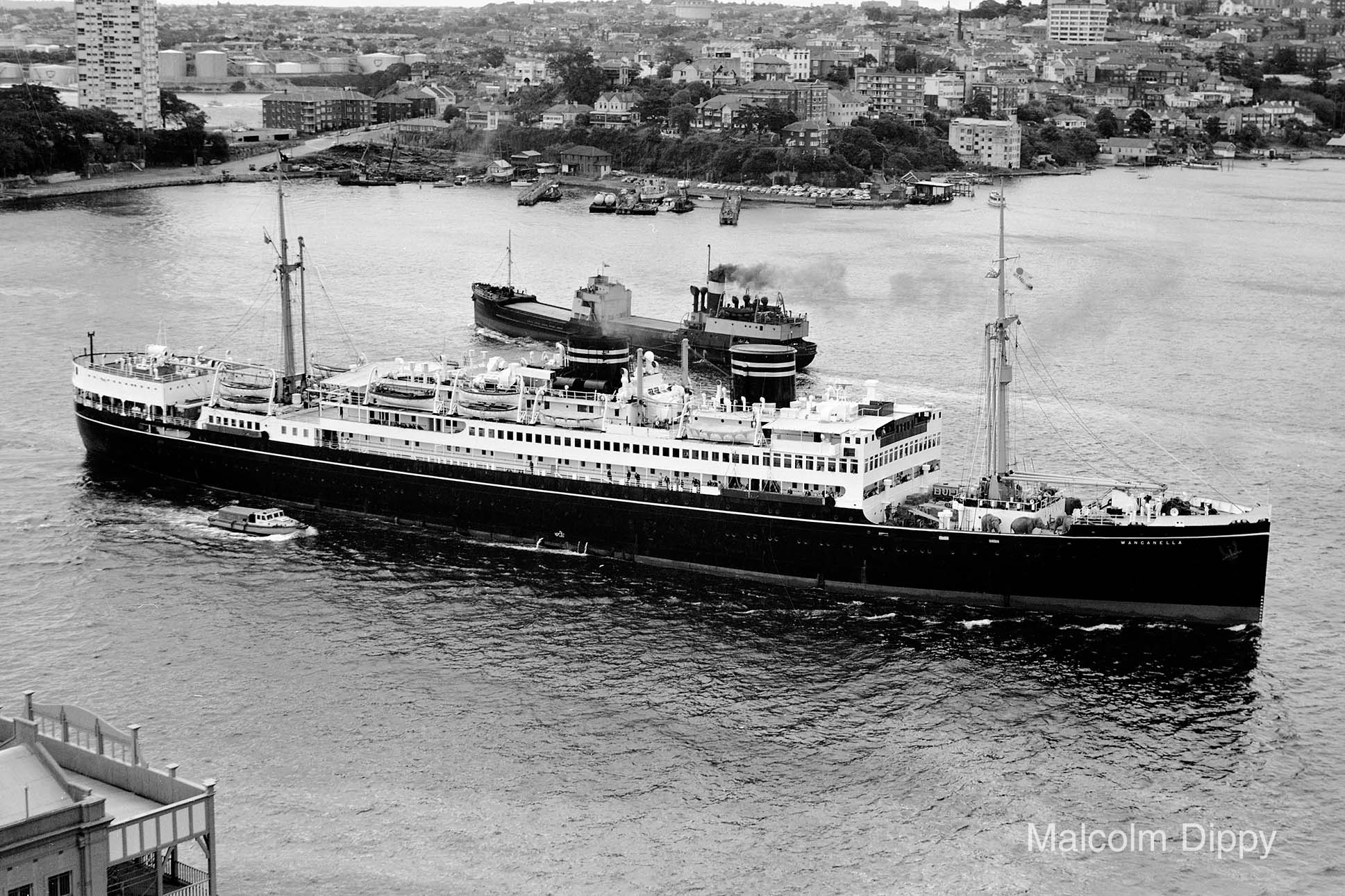 S1710-18 Wanganella (MD) 23-10-62 - Shipping Today & Yesterday Magazine