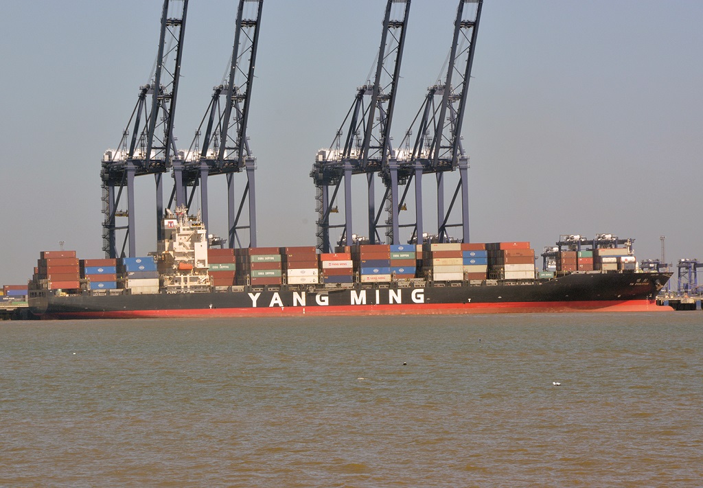 25 YM Evolution (2022) 1 - Shipping Today & Yesterday Magazine